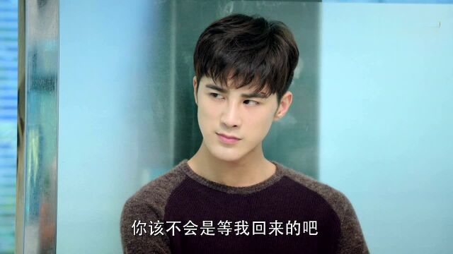 The Fox's Summer SS1 - Watch HD Video Online - WeTV