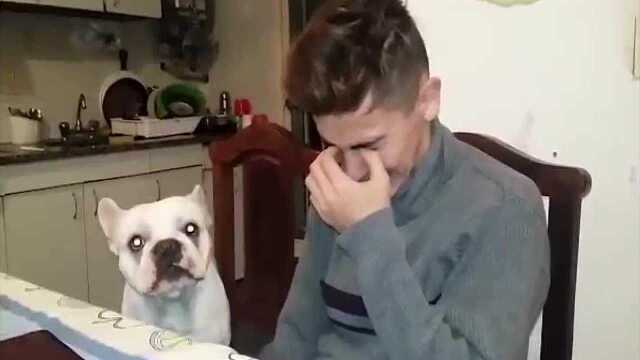 Dog: What a big man crying! - Watch HD Video Online - WeTV