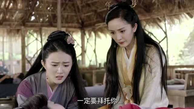 EP31：Legend of Fuyao - Free - China - TV - Romance - Traditional ...