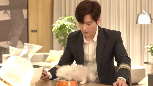 BTS: Here Comes the Cute Mascot | I May Love You - Free - China - TV ...