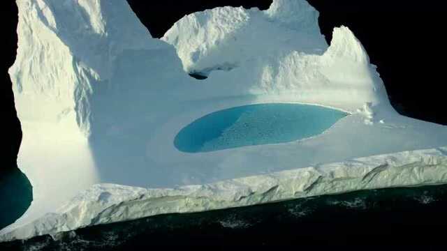 Save the iceberg, a lonely iceberg with a lonely, low-carbon life from ...
