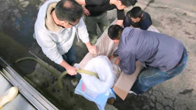 ทารกที่เพิ่งซื้อมาของ Da Tuhao มาถึงแล้วและทุกคนจะทำงานร่วมกันเพื่อยก ...