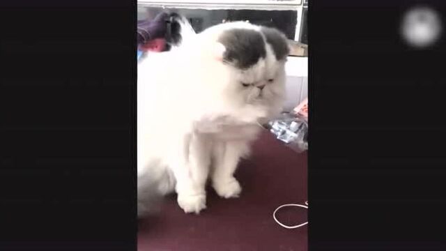 This is the feeling of flying, let me face the blast! - Watch HD Video ...