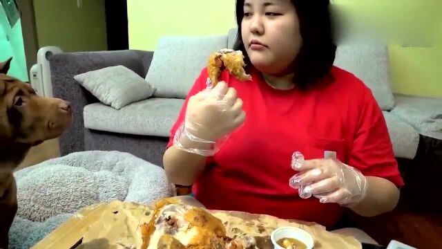 Fat girl paper eats crispy fried chicken, tears open chicken legs and ...