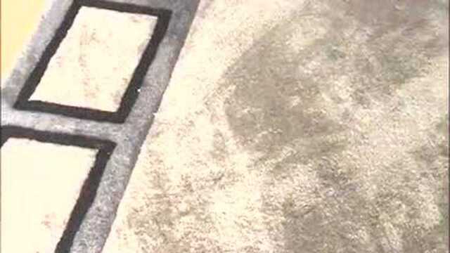 Lazy welfare! Carpet Wang let you not want to clean the house, save the ...