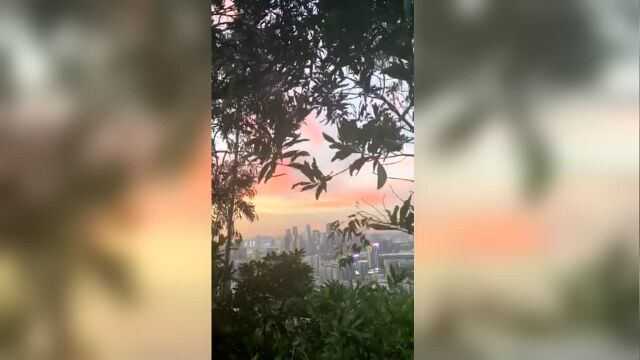 Peaceful - Watch HD Video Online - WeTV