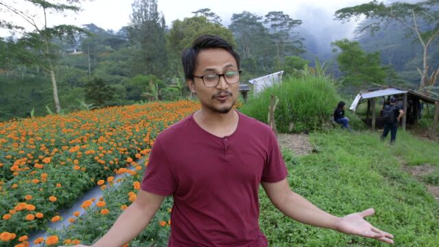 EP4：Coconuts TV - Free - Malaysia - Variety Show - - Overseasculture