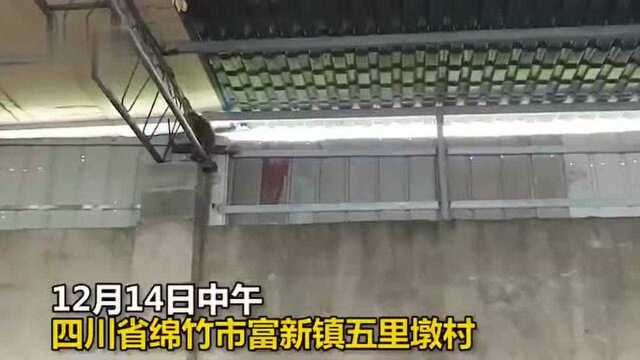 Sichuan Mianzhu “Dasheng” enters the village and the residences enter ...