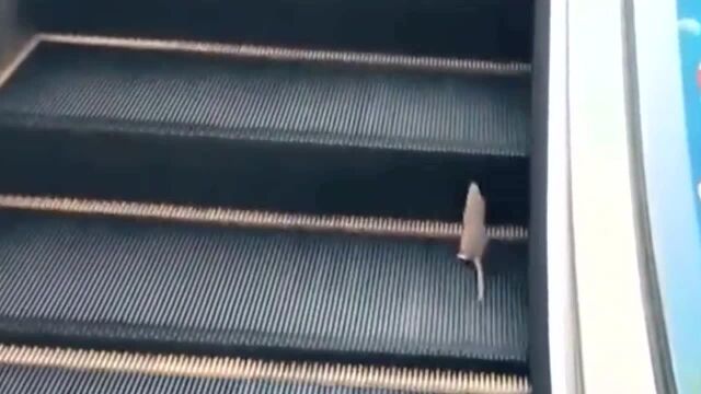 The mouse is in the elevator, how is it always in the same place ...