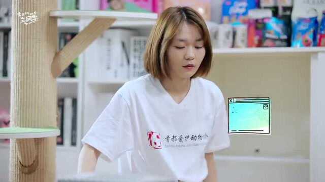 Rocket Girls 101 Institute EP44：Rocket Girl 101 turns into the pet ...