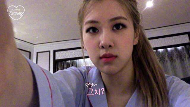 EP2:BLACKPINK DIARIES - Watch HD Video Online - iflix