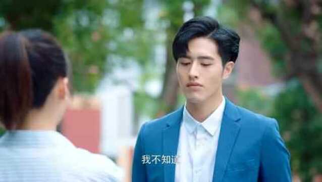 Highlight EP3 Ver.1｜Rules of Zoovenia - Free - China - TV - Romance ...