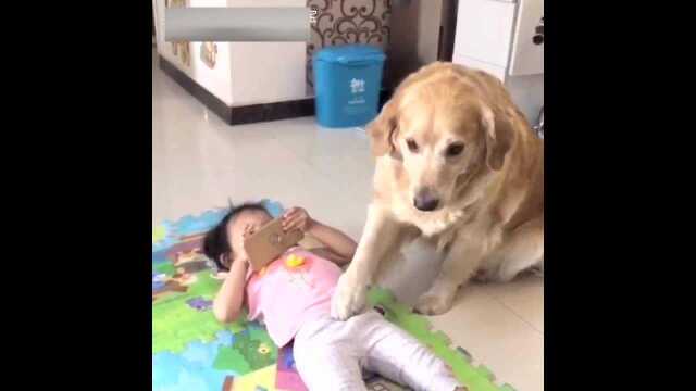 Every day, love is tired with the little master, even the little ...