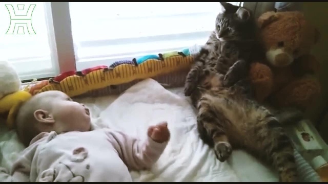 Ge You โกหกเวอร์ชั่น喵星人หาวทารกดูหยิ่ง - ชมวิดีโอออนไลน์ คุณภาพระดับHD ...