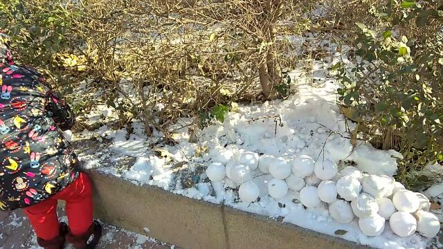 This year's first snow, the perfectionist baby picks snowballs. Is this ...