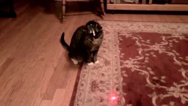 Chasing the madman, the master is bad! - Watch HD Video Online - WeTV