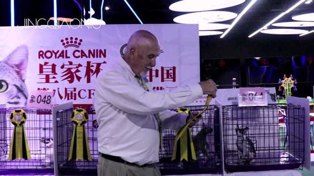 เชอร์รี่มีส่วนร่วมในการแข่งขัน CFA สด - ชมวิดีโอออนไลน์ คุณภาพระดับHD ...