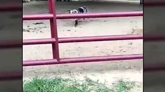 Erha ยืนอยู่ด้านบนของอาคารมองอย่างมั่นใจ: เมืองจะไม่มีอยู่สักพัก - ชม ...