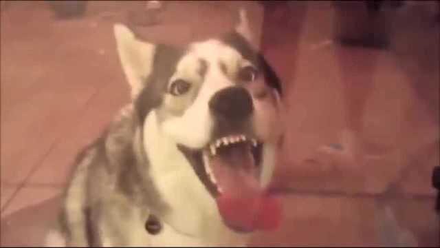 Erha อยู่บนท้องถนนกระจกวิเศษซึ่งเป็นความผิดของซี่โครงและจุดเริ่มต้นของ ...