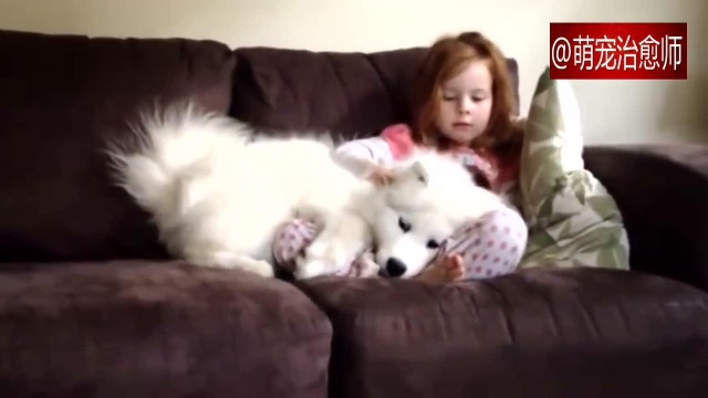 The dog squats in the owner's arms and the picture is too warm to heal ...