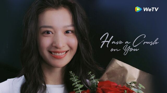 Ruan Liuzheng in Pursuit of Ning Zhiqian's Love | Have a Crush on You - Watch HD Video Online - WeTV