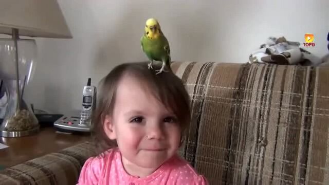 Baby can play with birds, so cute, so like it! - Watch HD Video Online ...