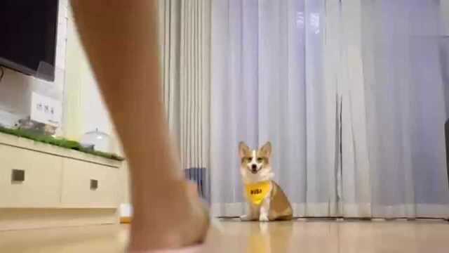 Keji violent motorcycle, this performance technique, I give full marks ...