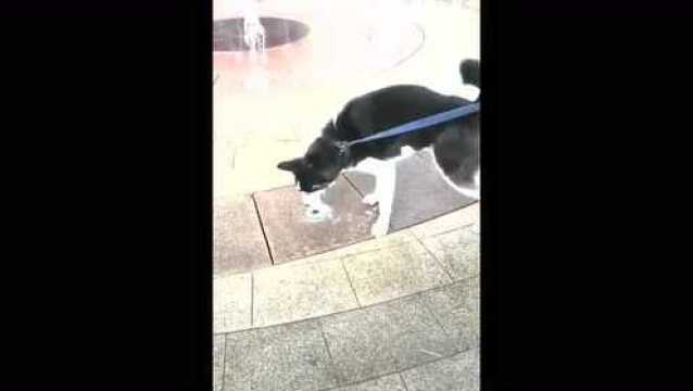 Erha: ใครจะช่วยฉันฉันจะถูกฆ่าด้วยน้ำ - ชมวิดีโอออนไลน์ คุณภาพระดับHD - WeTV