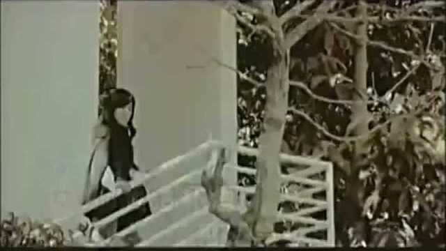 Minnan language songs to find nest HD - Watch HD Video Online - WeTV