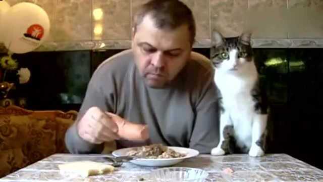 Haven't seen such a greedy cat, grab the owner's things to eat, and ...