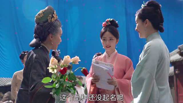BTS: Luo Shiyi niang singing "A Shy Rose Is Silently Blooming" | The ...