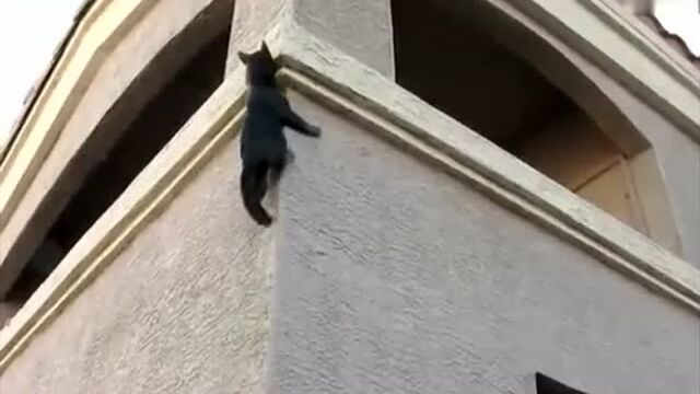 Take everyone to see what is the real flying raft! - Watch HD Video ...