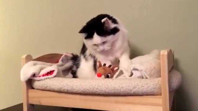 Design a cute human crib sleep for the comet - Watch HD Video Online - WeTV