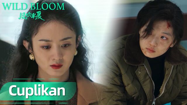 Highlight EP11 | Wild Bloom - Gratis - Zhao Liying,Oho Ou,Li Guangjie ...