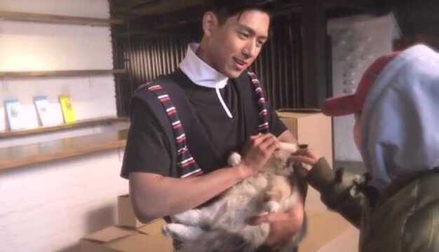 Li Xian little brother roll cat video exposure: I want to do the cat in ...
