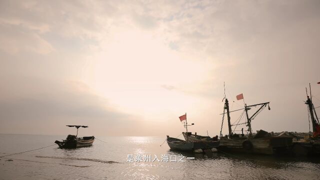 鲅鱼水饺_15 - ช่องฟรี - จีนแผ่นดินใหญ่ - สารคดี - อาหารรสเลิศ