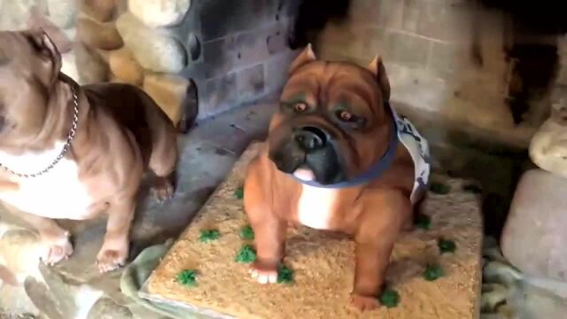 A true and a fake dog stands together, if it doesn't move, it's really ...