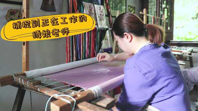 BTS: The World of Suzhou Style Broadery | Sunshine of My Life - Watch ...