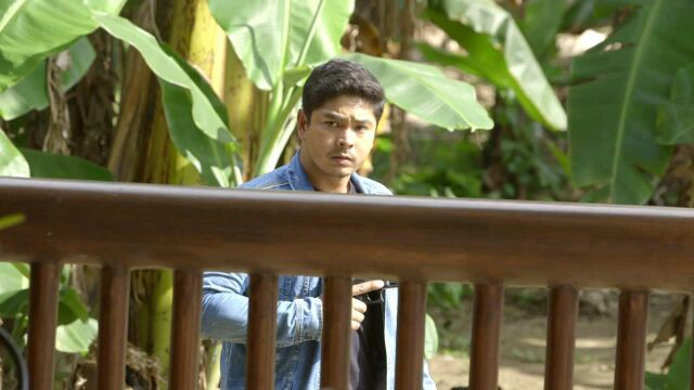 EP1371: FPJ's Ang Probinsyano - Watch HD Video Online - iflix