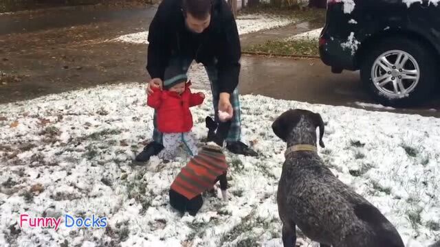 The foreign baby is so cute, watching the dog running around at home ...