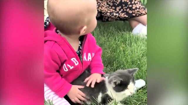 Meng Chong: The kitten brings happiness to the owner, so look at it ...