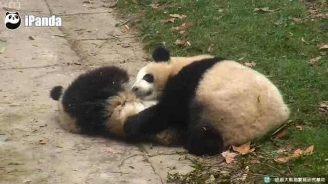 Meat, is it comfortable to sleep with a strange belly? - Watch HD Video ...