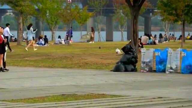 Dress up as garbage bags, foreign pranks, is it funny? - Watch HD Video ...