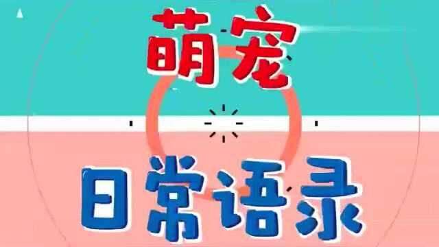 Súper risa - el mejor favorito en ciernes de esta semana! - Ver online ...