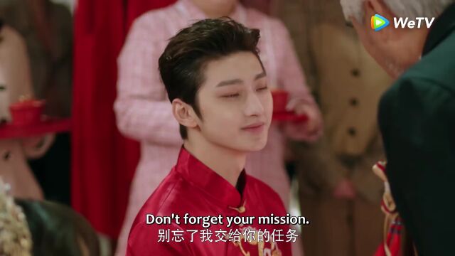 【Cute Bodyguard】EP24 Clip | Gu Rong and Jingjing finally get married ...