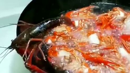 Crayfish: Master, I can't hold it anymore! - Watch HD Video Online - WeTV