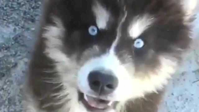 Erha ยักษ์อ้วนเป็นเจ้าของโดยยกน้ำหนักเป็นฟิตเนสยกน้ำหนักมันใช้งานง่าย ...