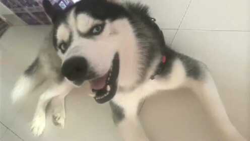 Pada akhir pekan, tuan rumah beristirahat dengan dua haha untuk ...