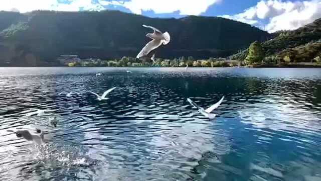 Lu Gu Lake - Watch HD Video Online - WeTV