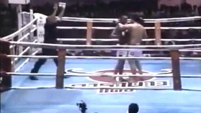 Funny boxing: Which kind of boxing do you like for animals and people ...